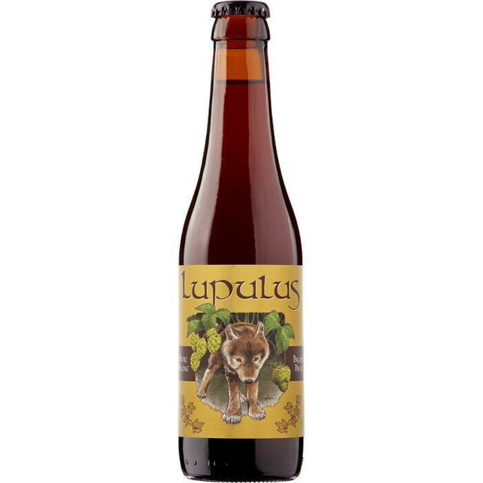 Lupulus - Bruin Bier - Fles - 330ML (33cl)
