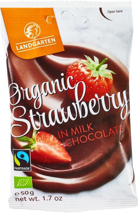Aardbeien in melkchocolade (50g)